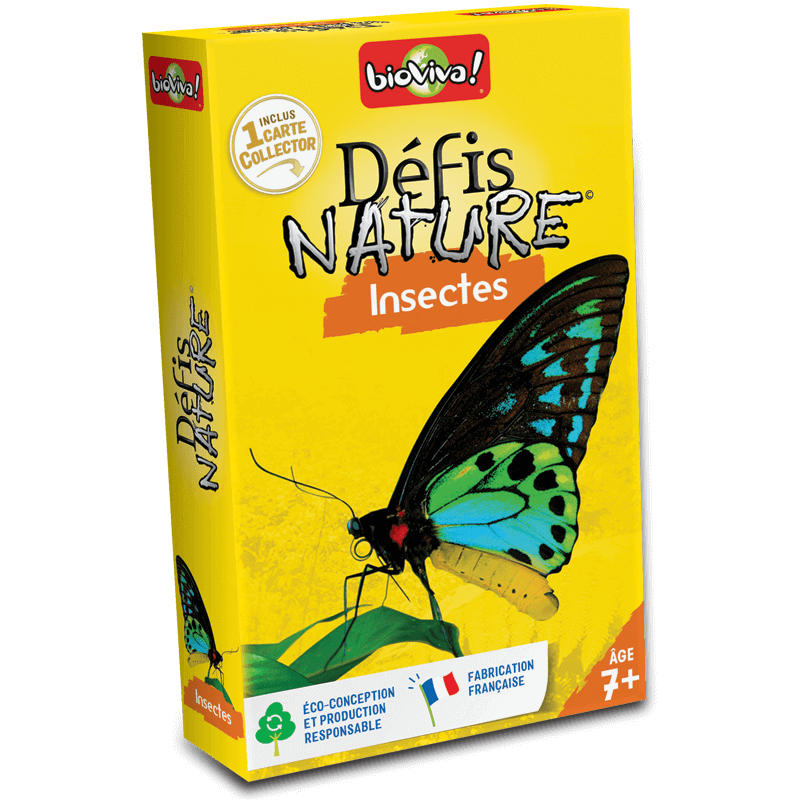 défis Nature - Insectes - La Canaillerie